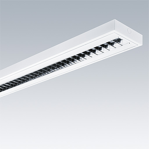 Punch — Australia (English)